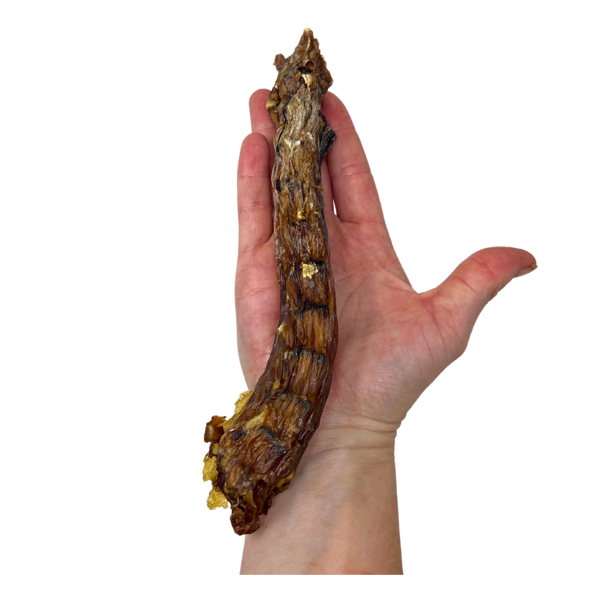 Dehydrated Duck Neck for Dogs | Single Ingredient Treat – Jack's Premium