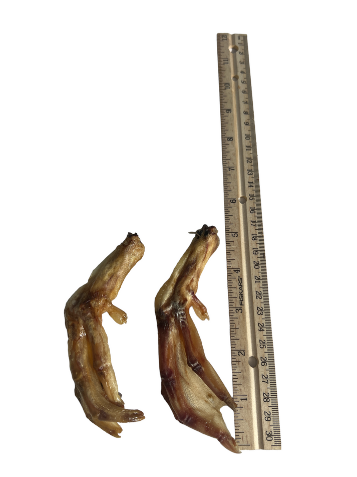 Whole Duck Feet | Dehydrated Dog Chews – Jack's Premium