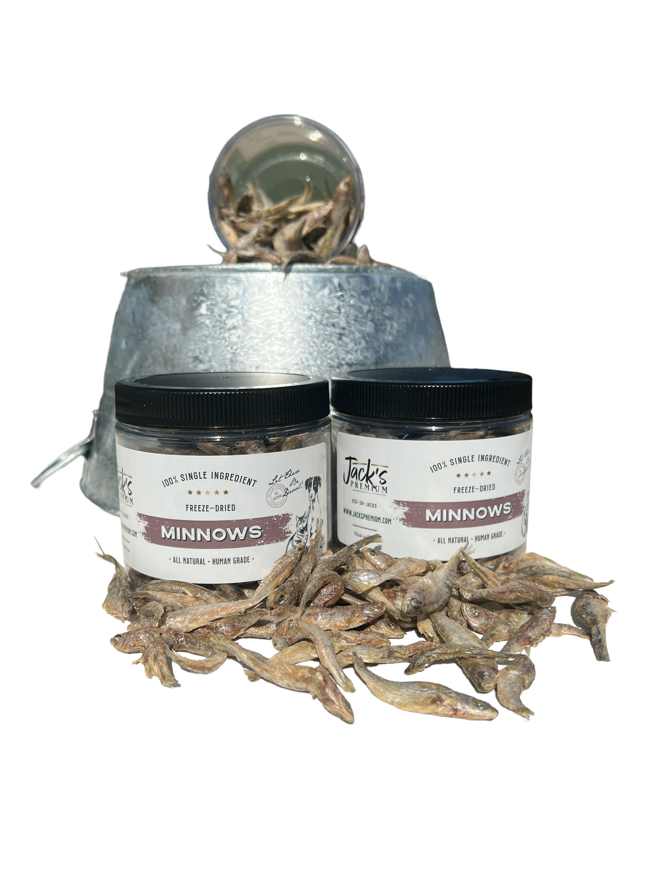 Freeze Dried Minnows for Dogs and Cats | USA Made Treats – Jack's Premium