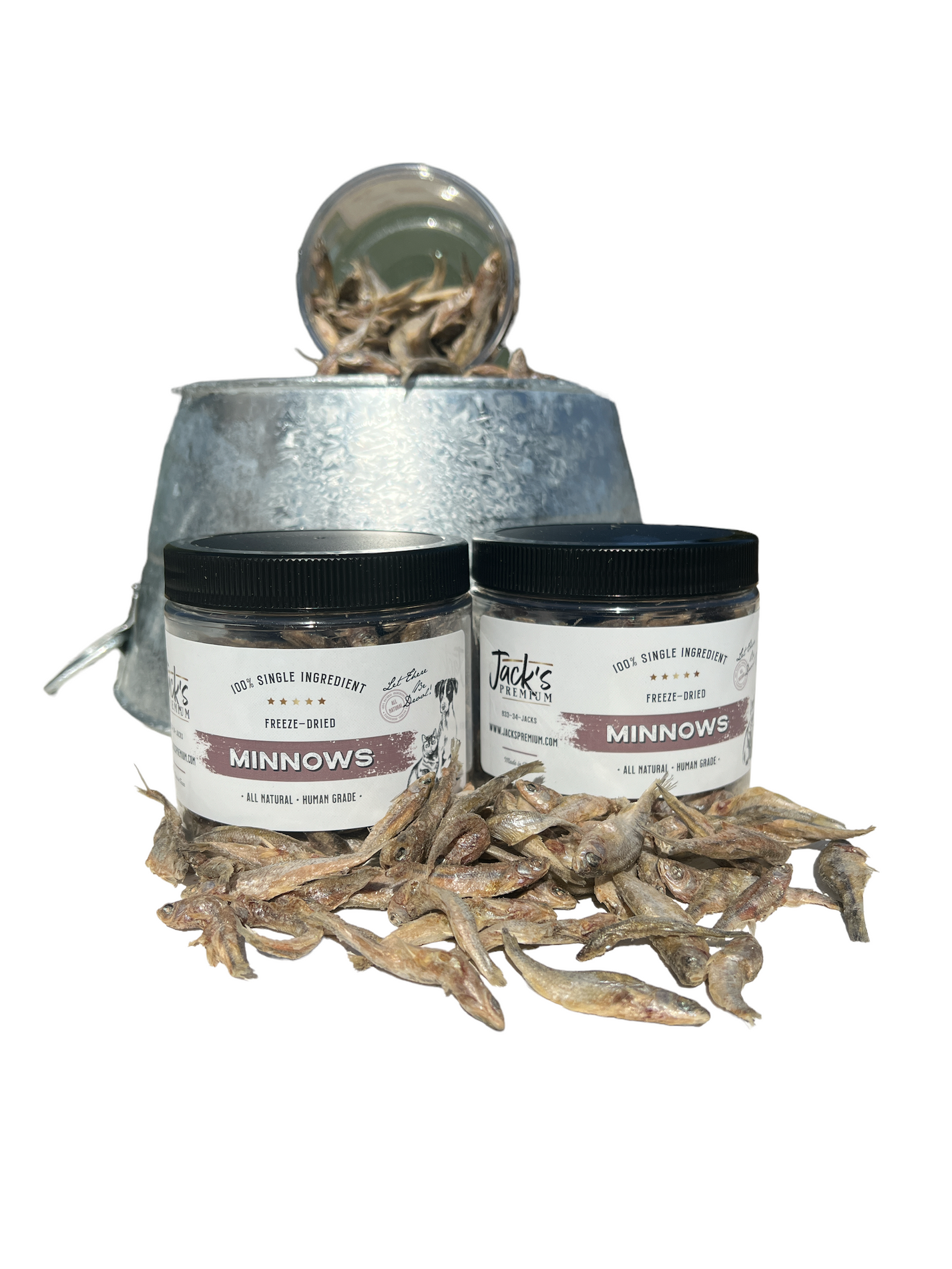 Freeze Dried Minnows for Dogs and Cats | USA Made Treats – Jack's Premium